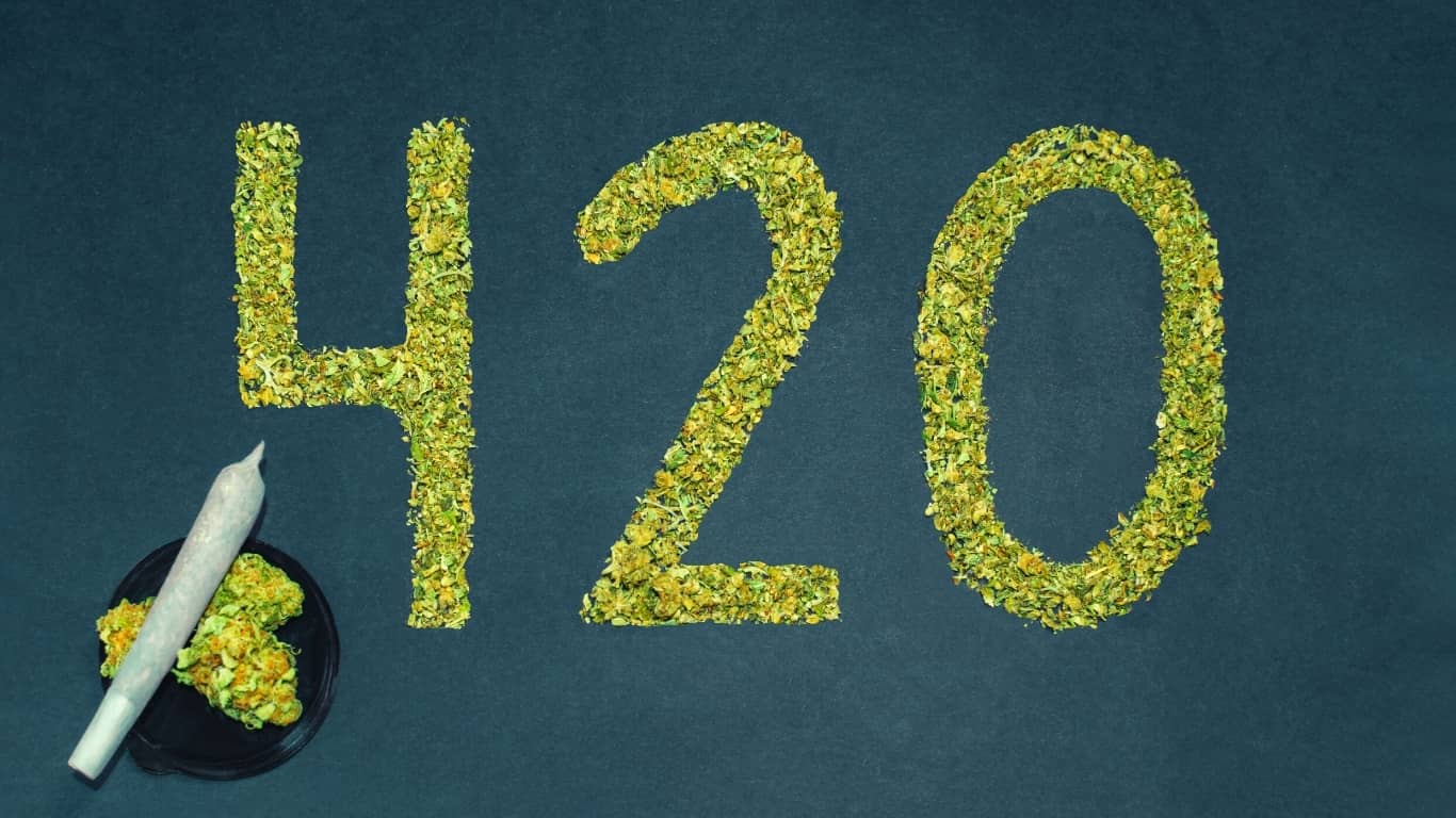 420: cannabis, cáñamo, mariguana. ¿Cómo le dices?